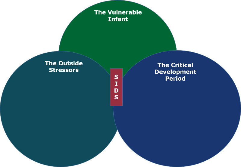 SIDS and the Three Parts of the Triple Risk Model
